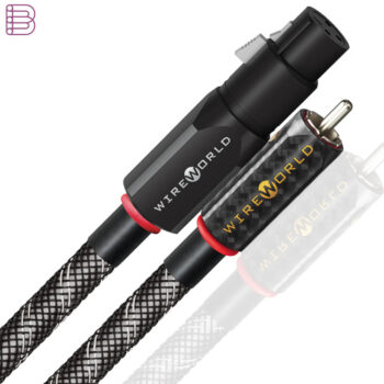 Wireworld Series 10 audio cables – Best of High End